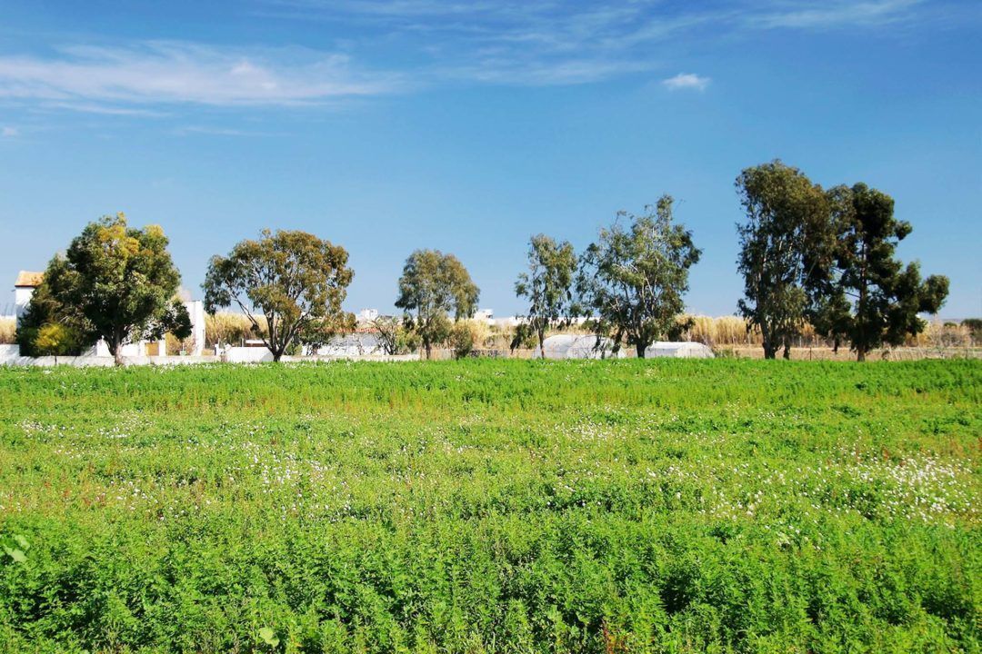 12 Stunning Natural Areas Near Barcelona - Albergue Centre Esplai