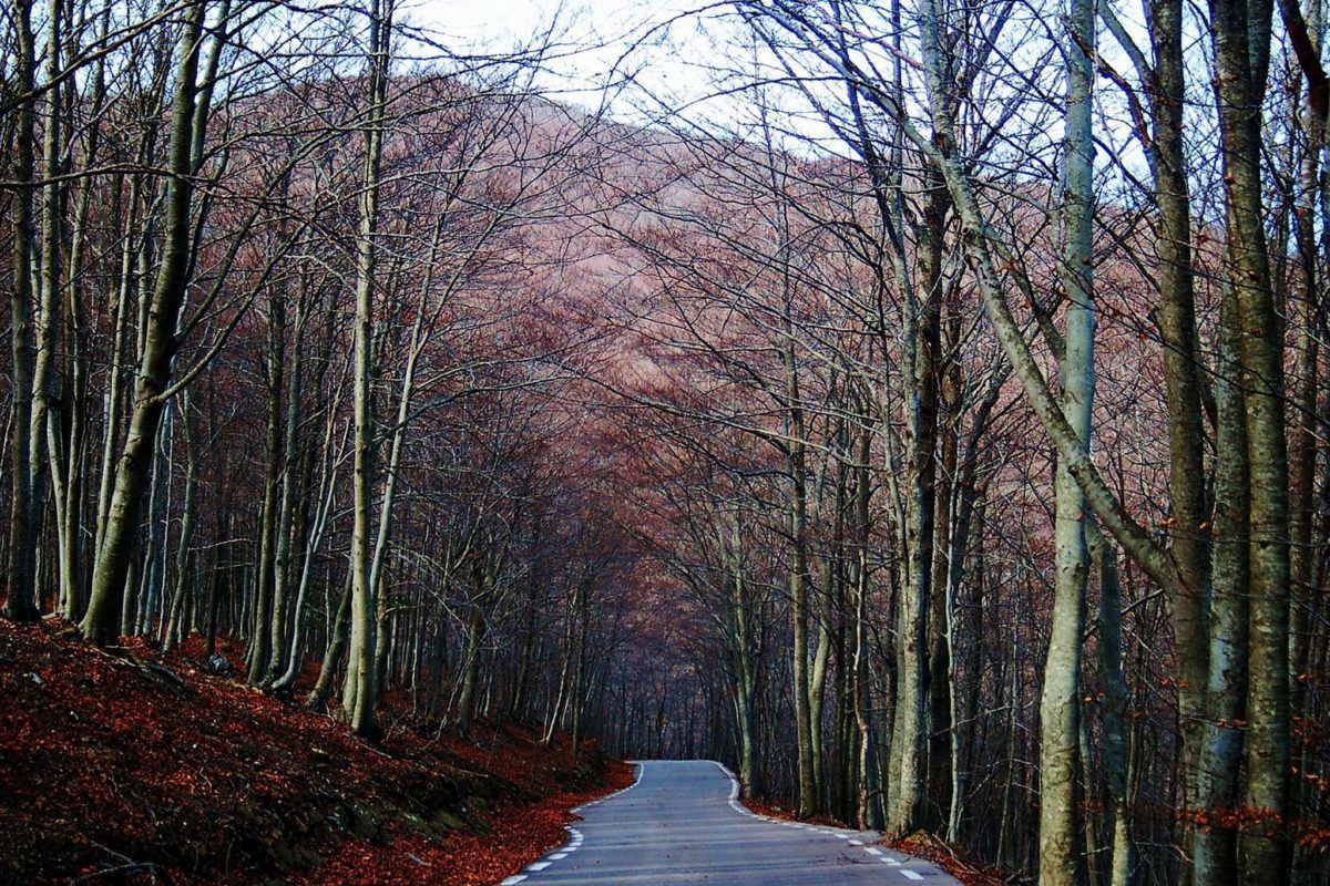 12 Stunning Natural Areas Near Barcelona - Albergue Centre Esplai